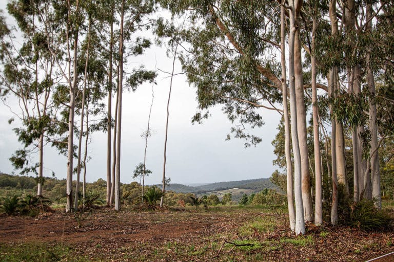 Building a Rural Home | Perth | Shelford Quality Homes